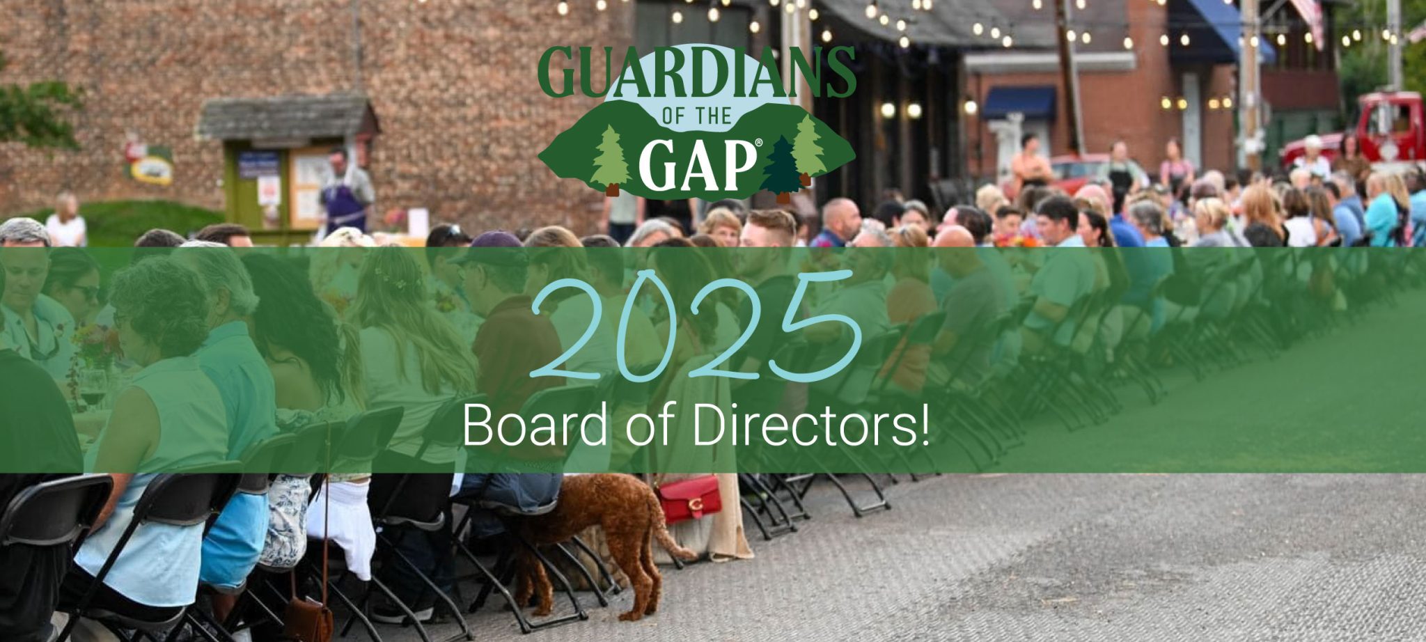 Guardians of the Gap™ Announce Board Member Appointments - Guardians of ...